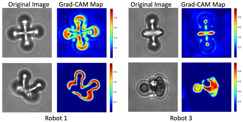 Optical Microrobot